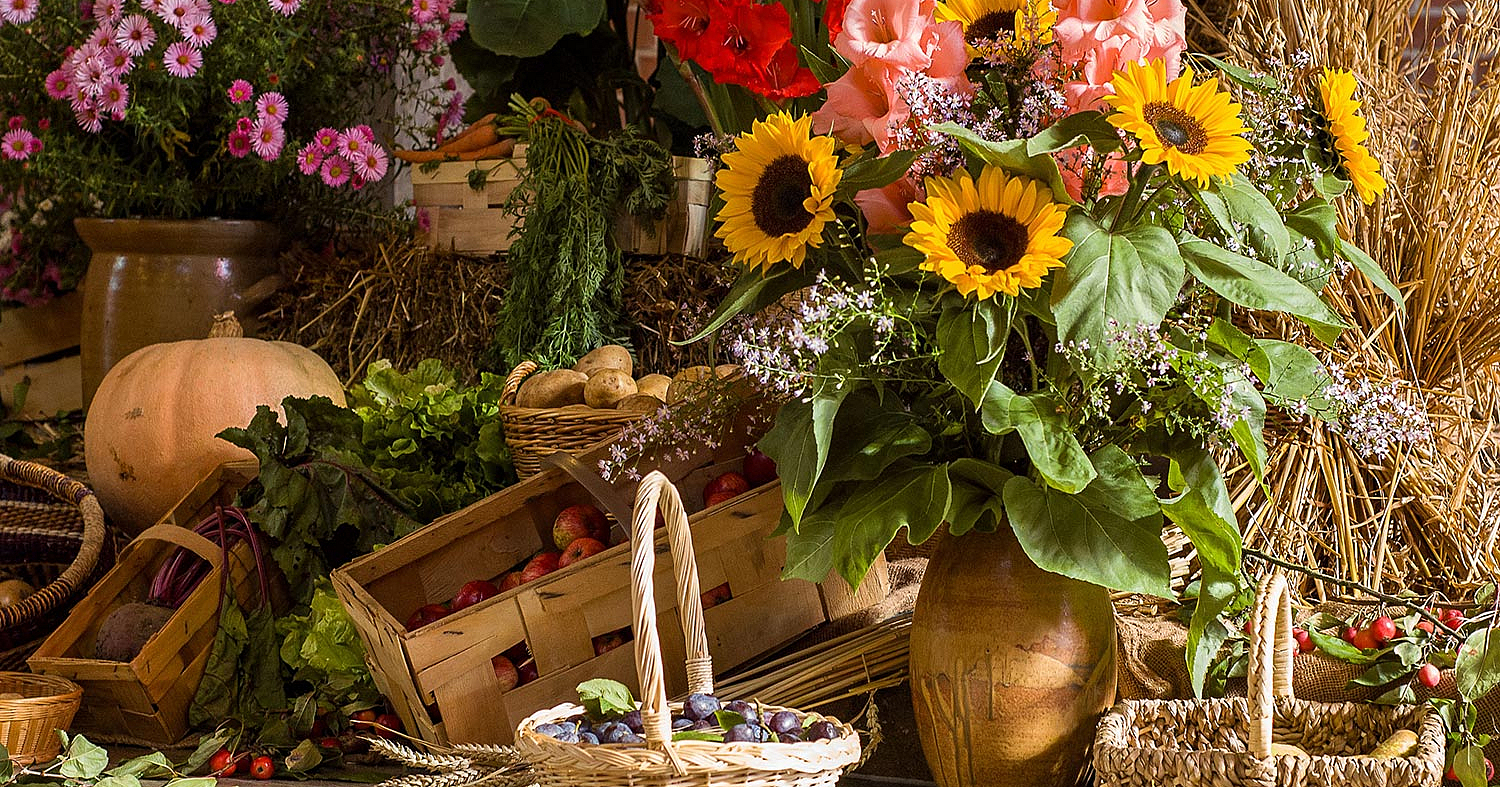 EKKW Website: Kurhessische Gemeinden feiern Erntedankfest